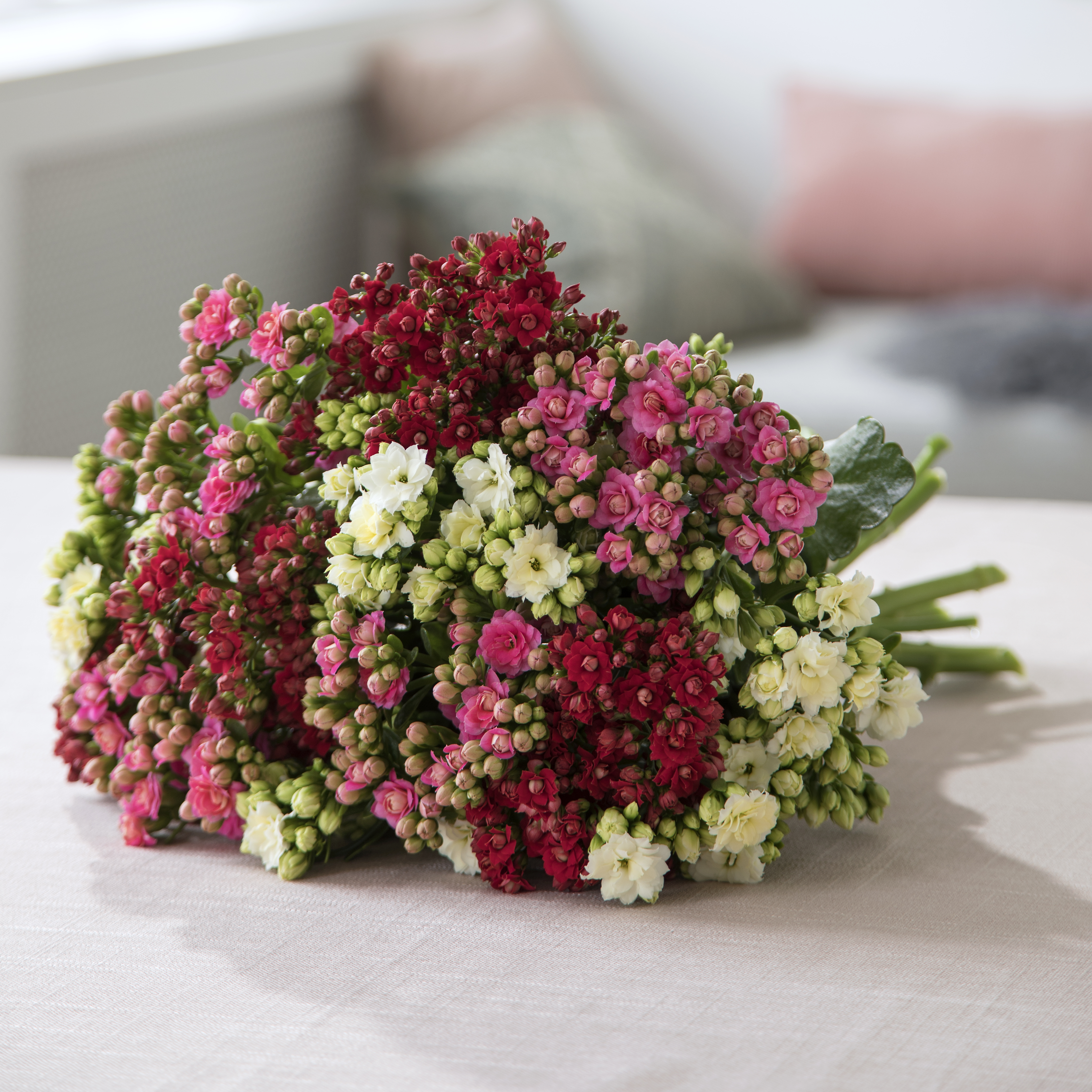 Welcome to Queen® Flowers | A unique flower experience