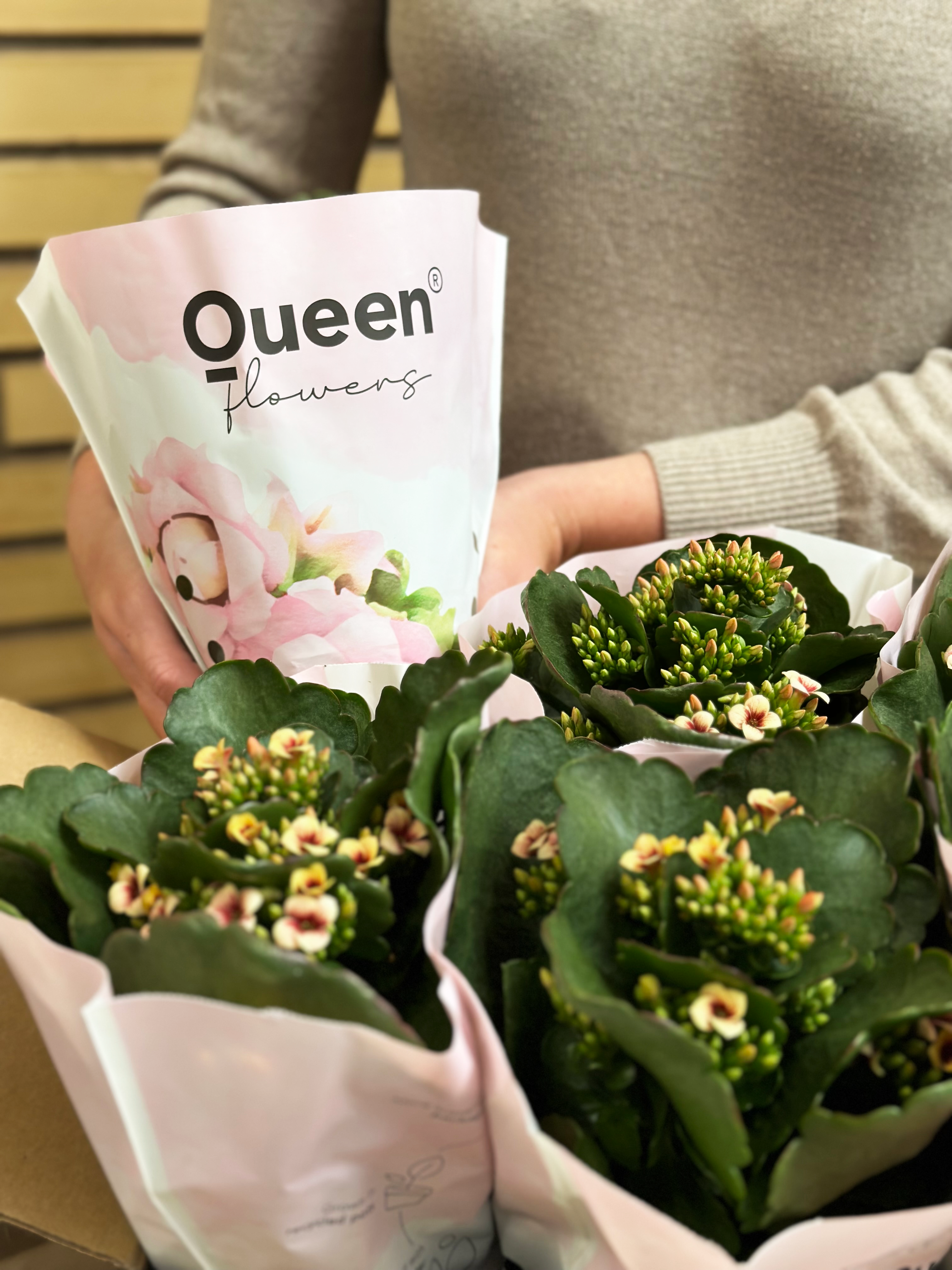 Welcome to Queen® Flowers | A unique flower experience